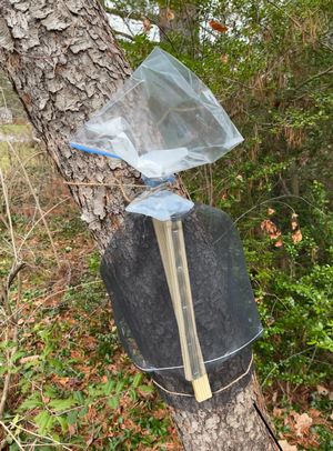 Cranbury Public Library – Events